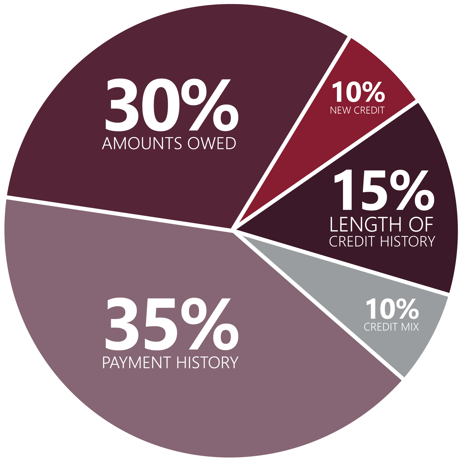  What Is The Credit Mix And How Does It Affect Your Credit Score